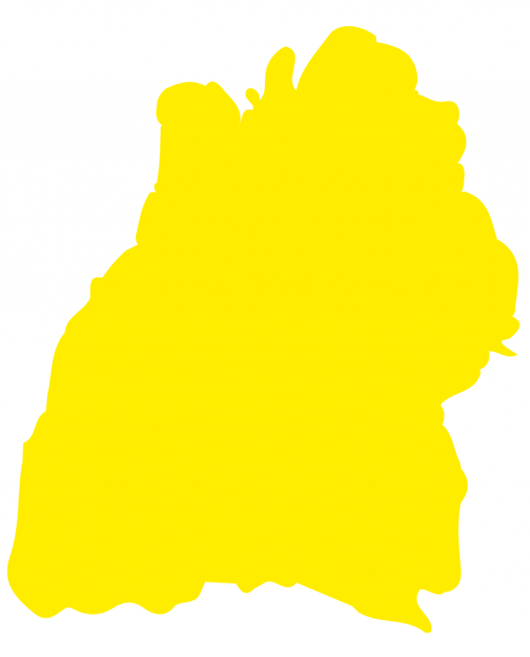 The partiers - nachtsam